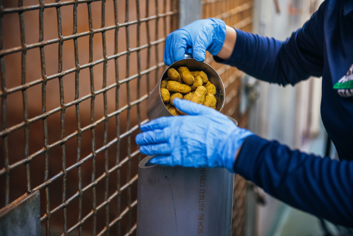 Everything a Chimp Eats in a Day - Chimp Haven