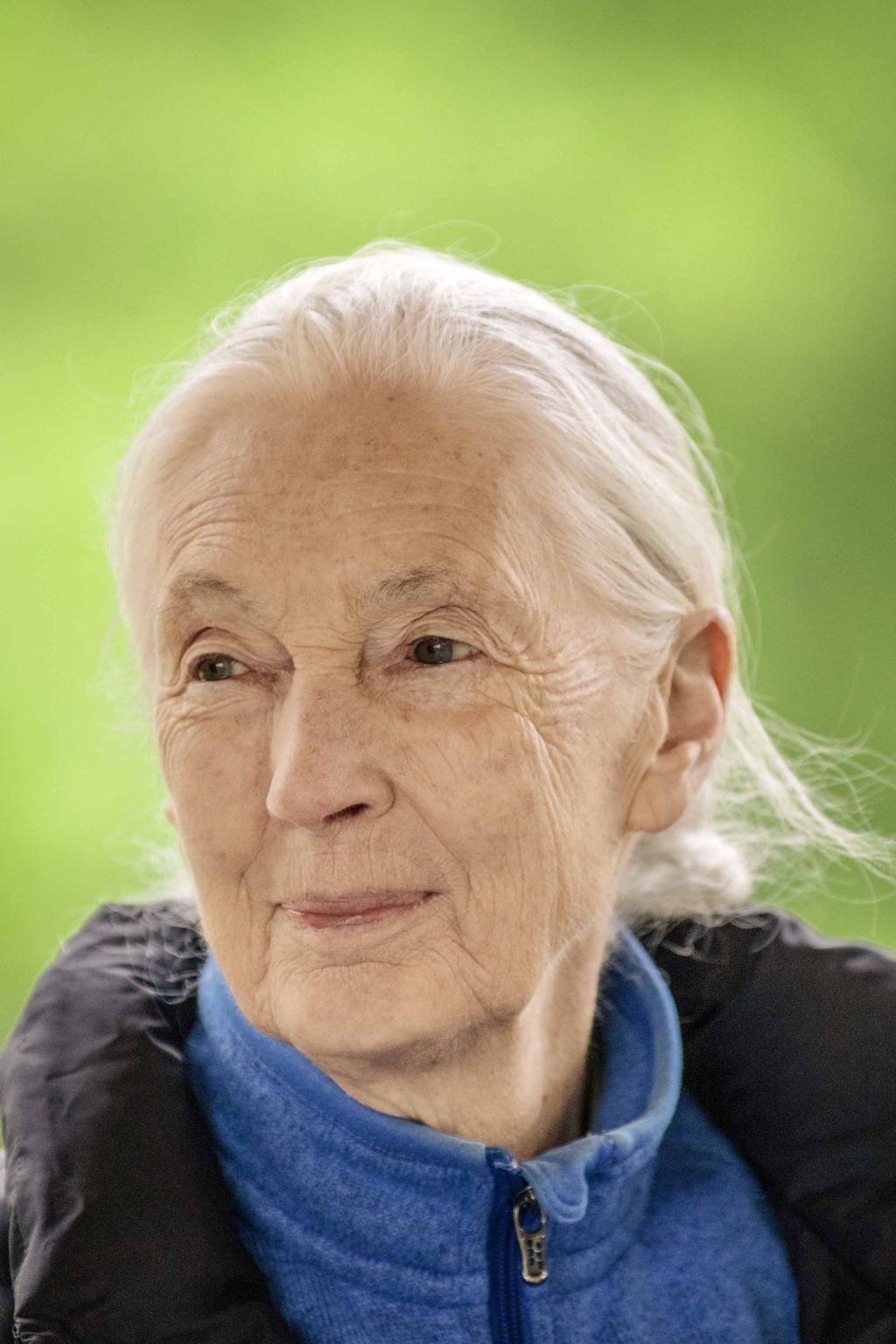 Remembering the Incomparable Dr. Jane Goodall - Chimp Haven
