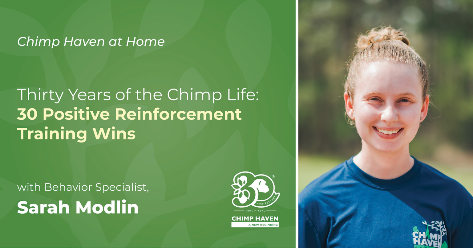 Plan Your Visit at Chimp Haven Sanctuary - Contact Us Now