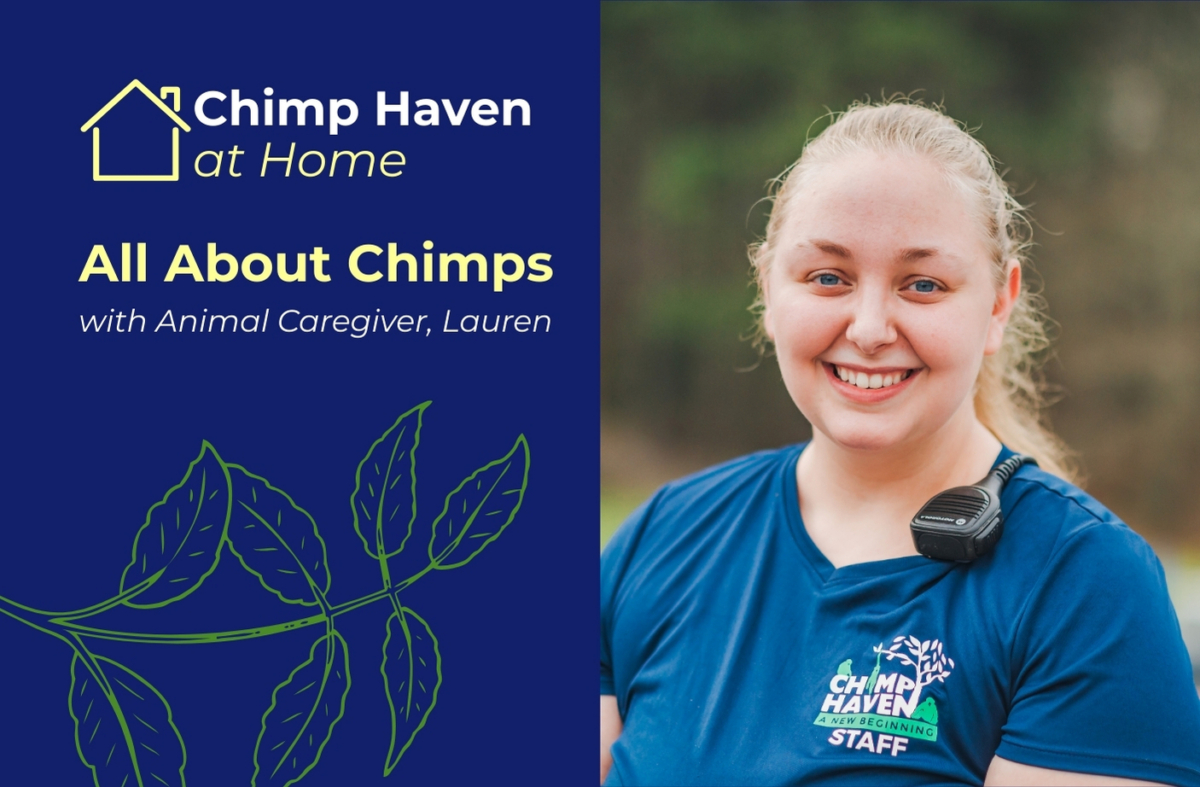 Chimp Haven at Home - Chimp Haven