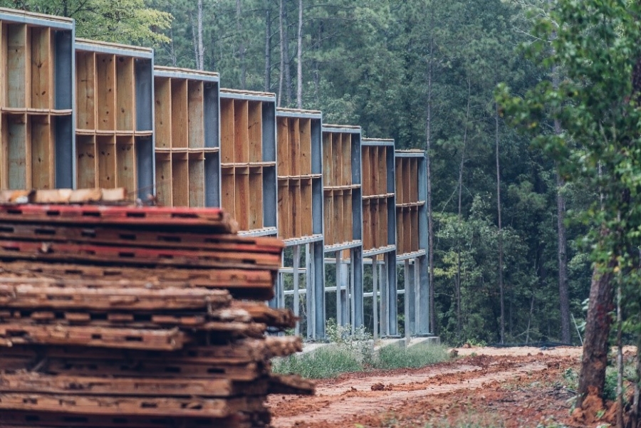 Message from the President: Thank you for a wonderful year! - Chimp Haven