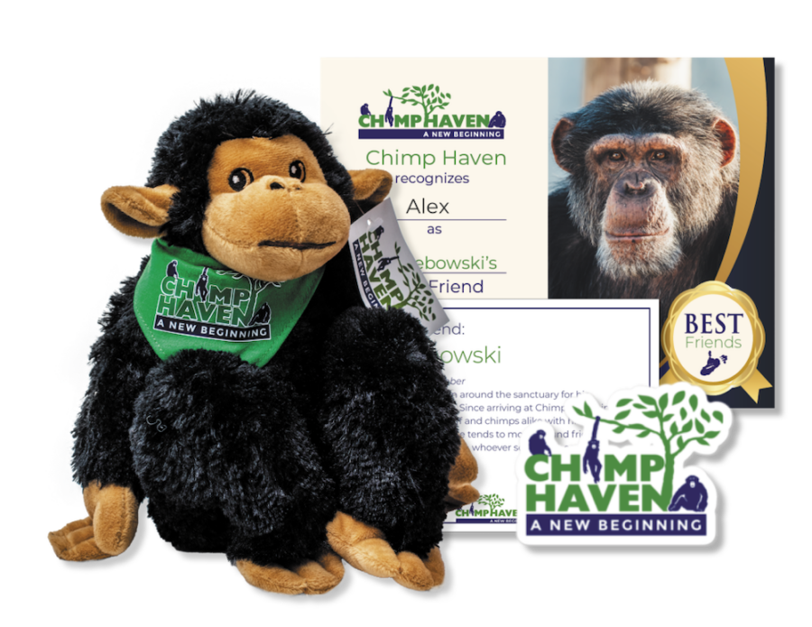 Sponsor Your Favorite Chimp Today - Chimp Haven Organization