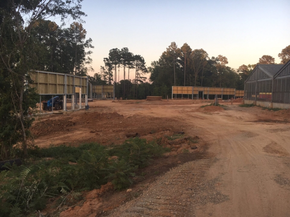 Construction underway to welcome remaining chimps housed in research ...
